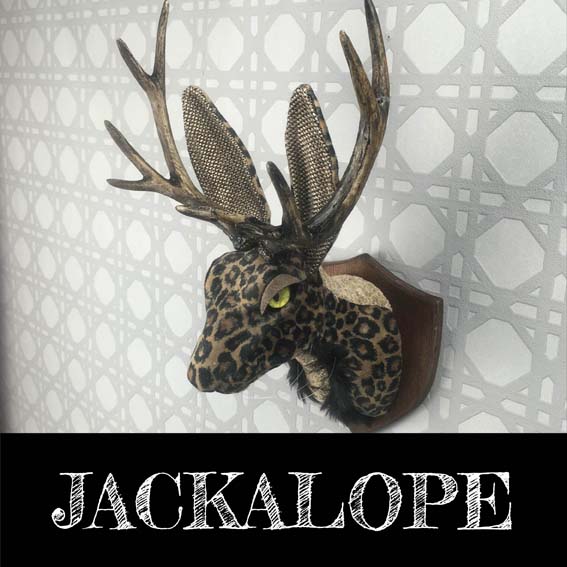 Jackalope Head Wall Hanging | Faux Taxidermy